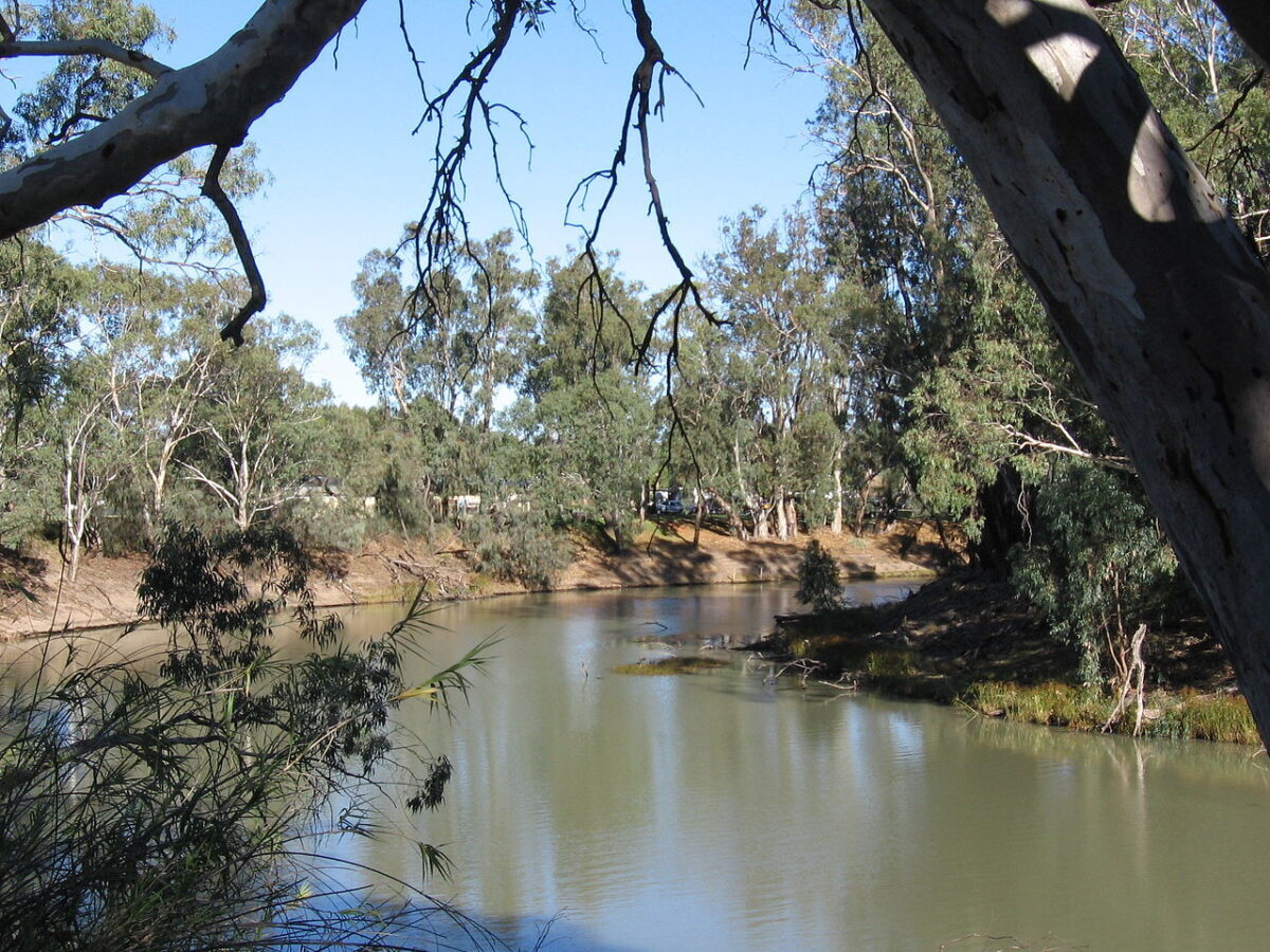 Farm Stays & Outback Accommodation - Balranald - Outback Beds | Farm ...