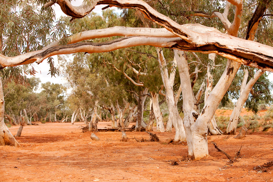 Corner Country Tour - Outback Beds | Farm Stays & Accommodation NSW QLD