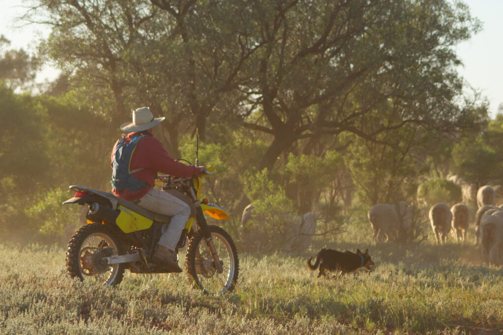 Farm Stays & Outback Accommodation - Trilby Station - Outback Beds ...