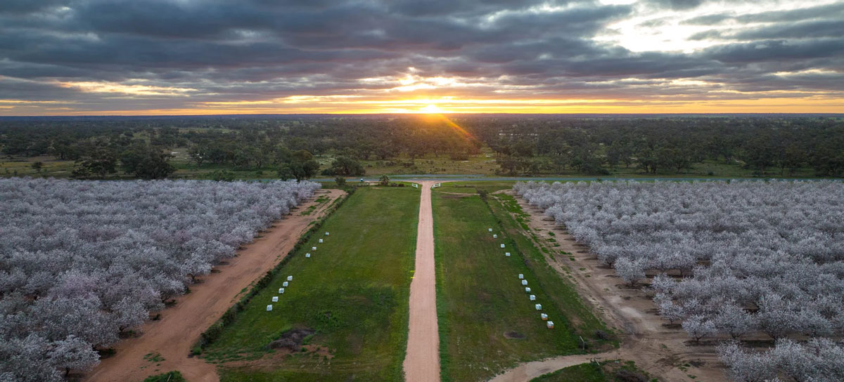 The Cottage - Outback Beds | Farm Stays & Accommodation NSW QLD