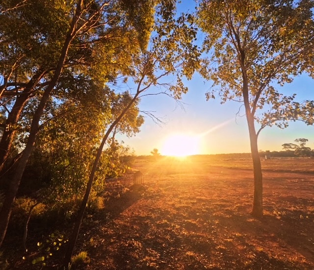 Farm Stays & Outback Accommodation - Glamping - Outback Beds | Farm ...