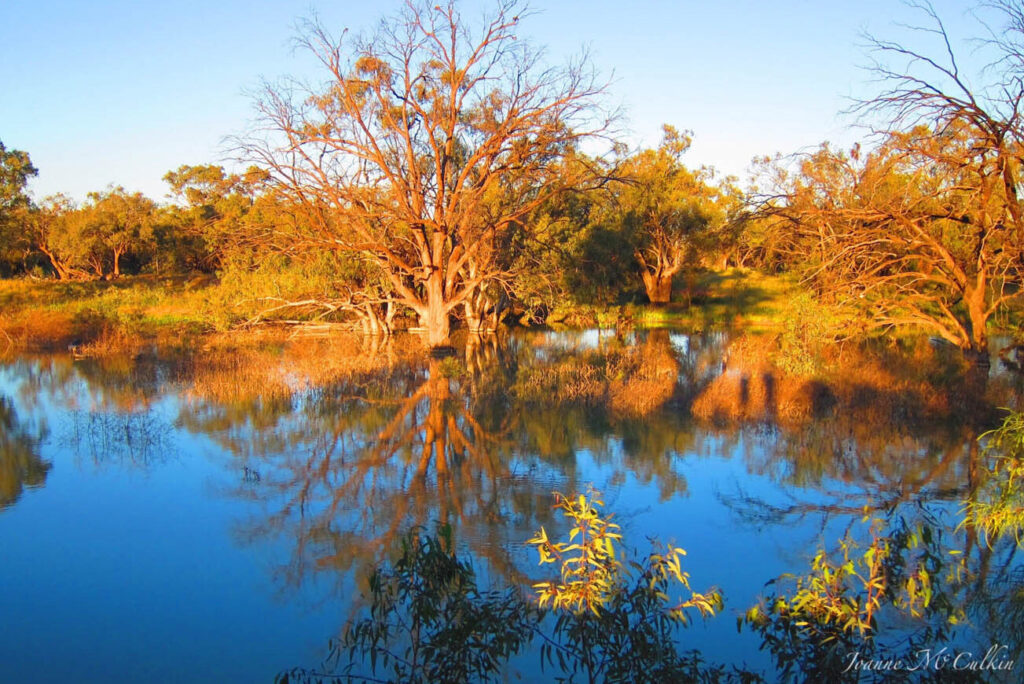 Warrawong On The Darling - Outback Beds | Farm Stays & Accommodation ...