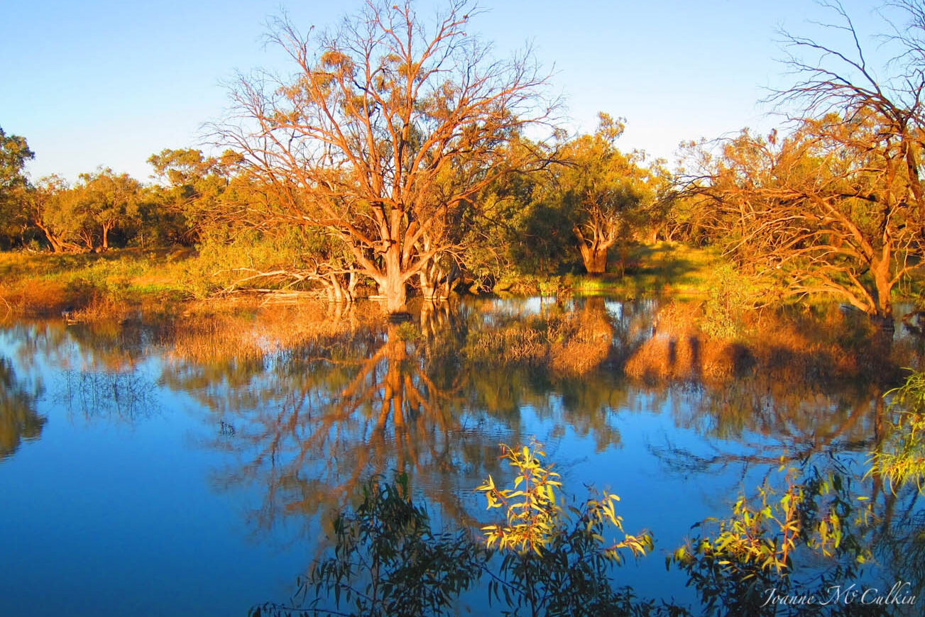 Camping - Outback Beds | Farm Stays & Accommodation NSW QLD